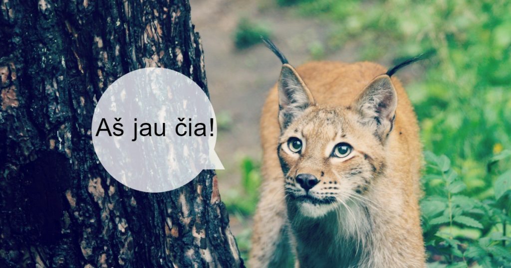 Pasirodė Veikliosios Lūšies pristatymas ir prasidėjo registracija į ...