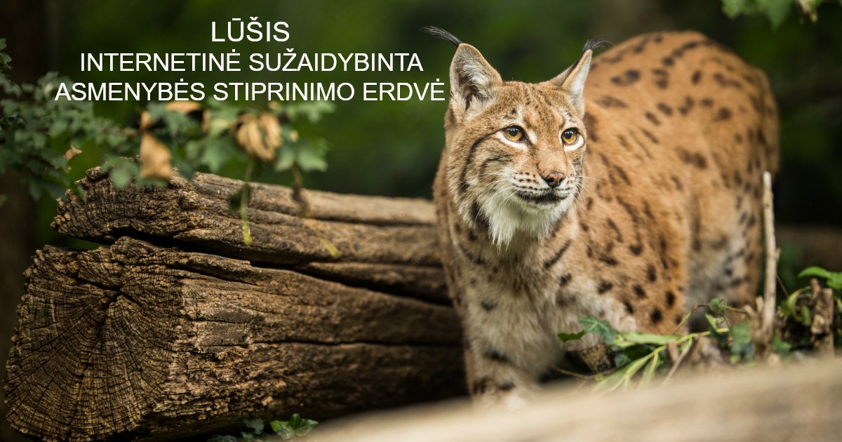 Džiaugiuosi savimi | Pasitikinti savimi Lūšis